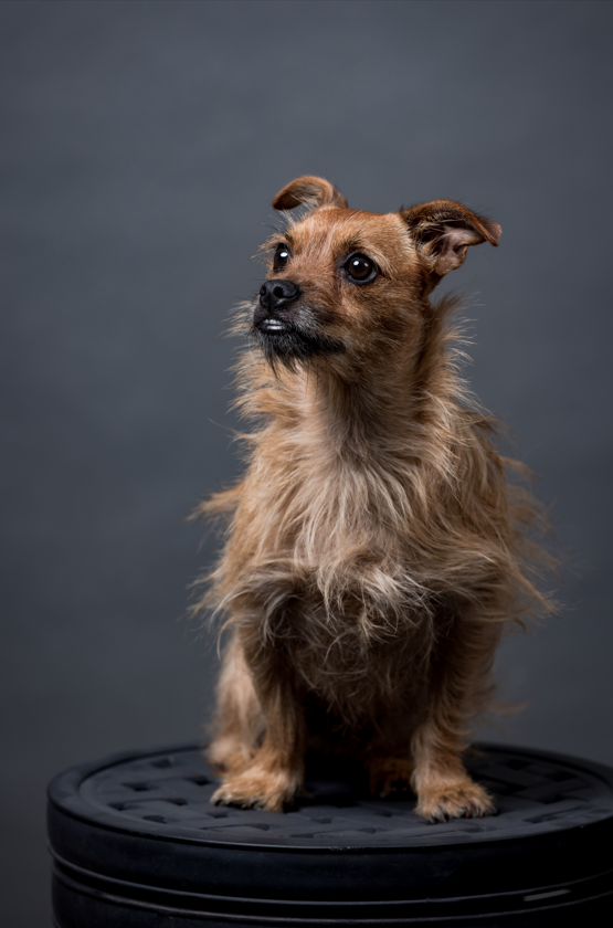 Ruby Galindo-Holliday - Beau Box Commercial Real Estate